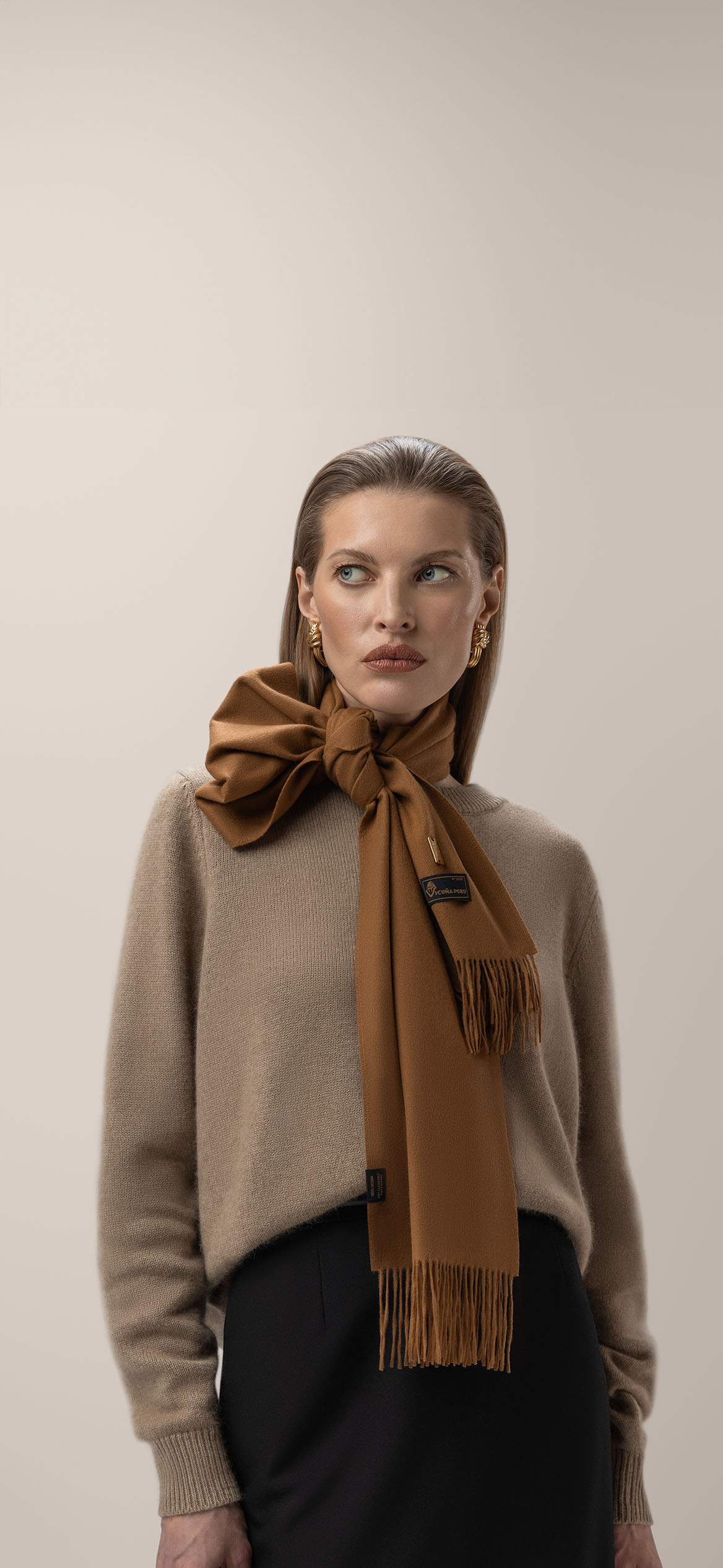 Buy Vicuña wool scarf HC800 BORK in Dubai, UAE - BORK - Official Online ...