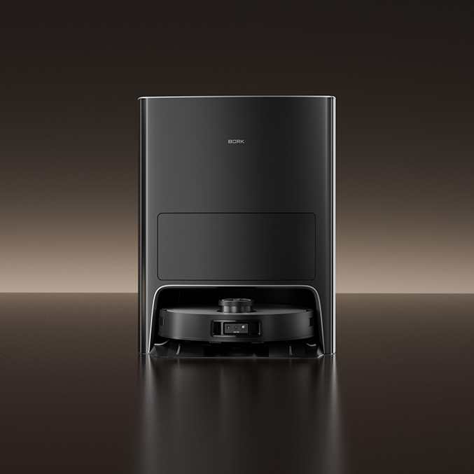 About BORK: history, development